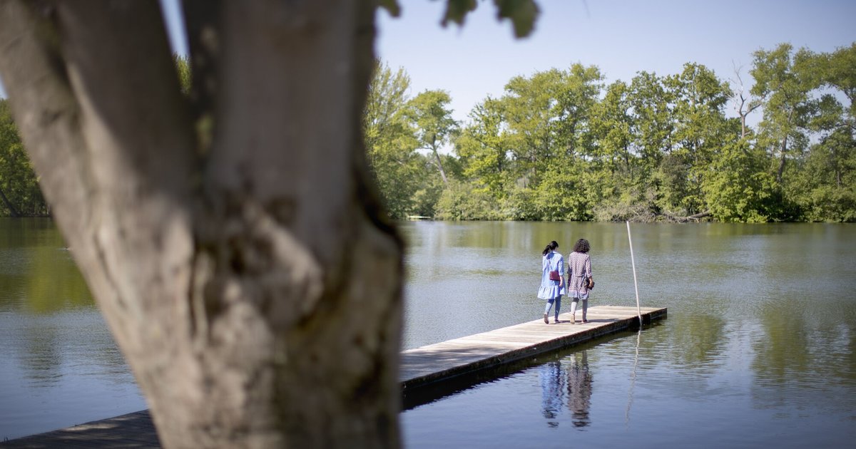 Donkmeer wandelroute | Routen