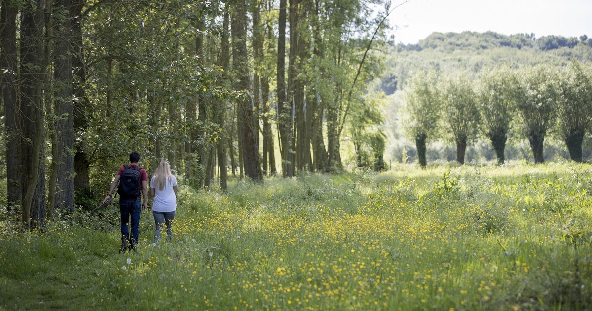 Stiller Wanderweg zwischen Helix und Bosberg | Routen