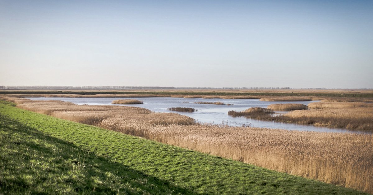 Wase Polders fietsroute: 32 km langs polders van Beveren tot Doel
