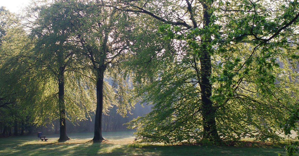 Het Leen fietsroute | Routen