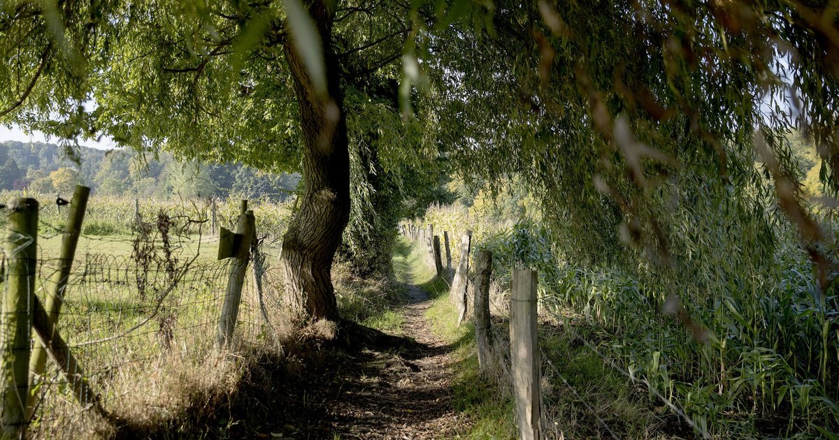 5 wandelroutes op en langs de Vlaams-Waalse taalgrens