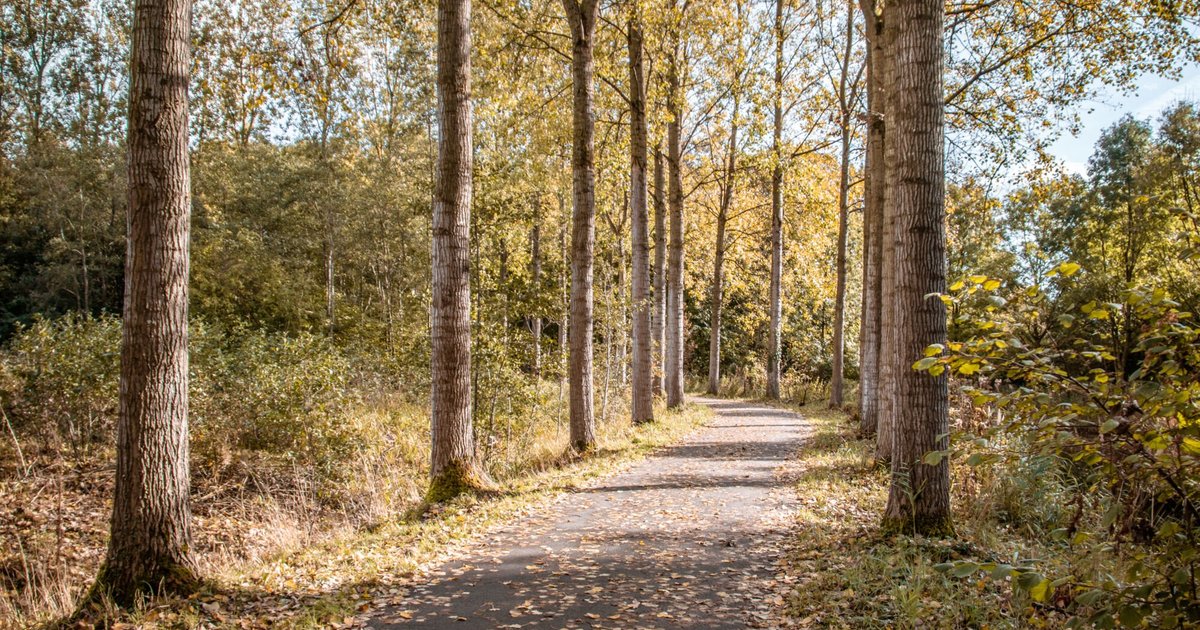 Wanderroute Puyenbroeck | Routen