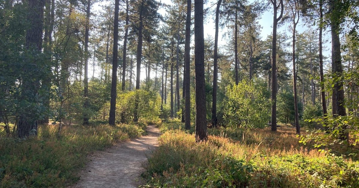 Kloosterbos wandelroute | Routen