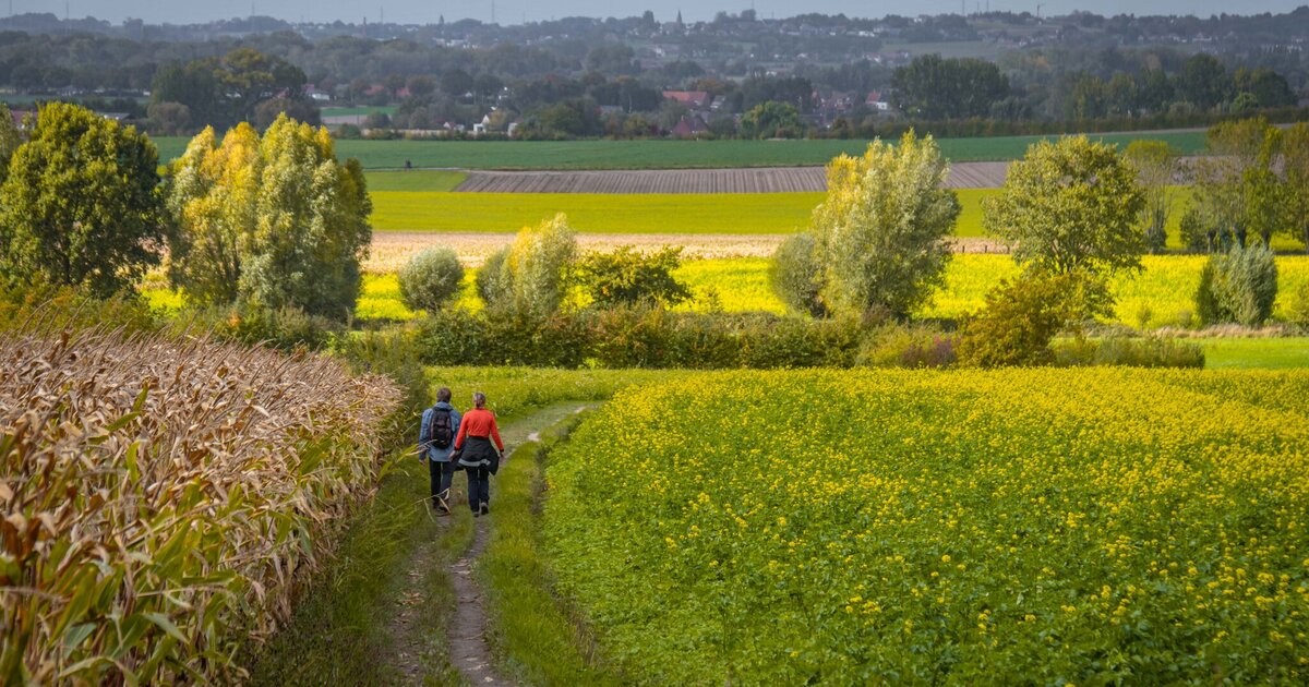 Routen Trail & Walk - Kluisbergen, 5 okt 2025