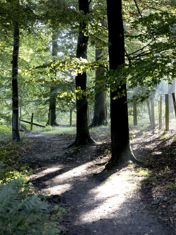 5 wandelroutes op en langs de Vlaams-Waalse taalgrens